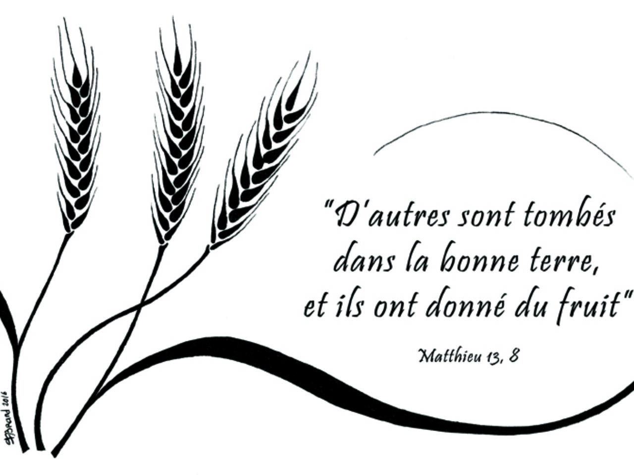 L’évangile du jour et le Livre du Ciel - Missionnaires de la Divine Volonté