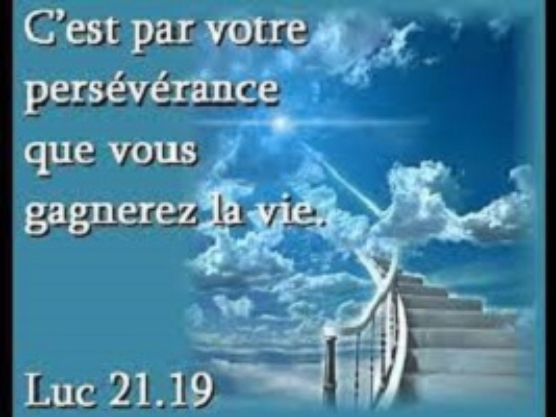 Mercredi 29 novembre 2023 - Missionnaires de la Divine Volonté