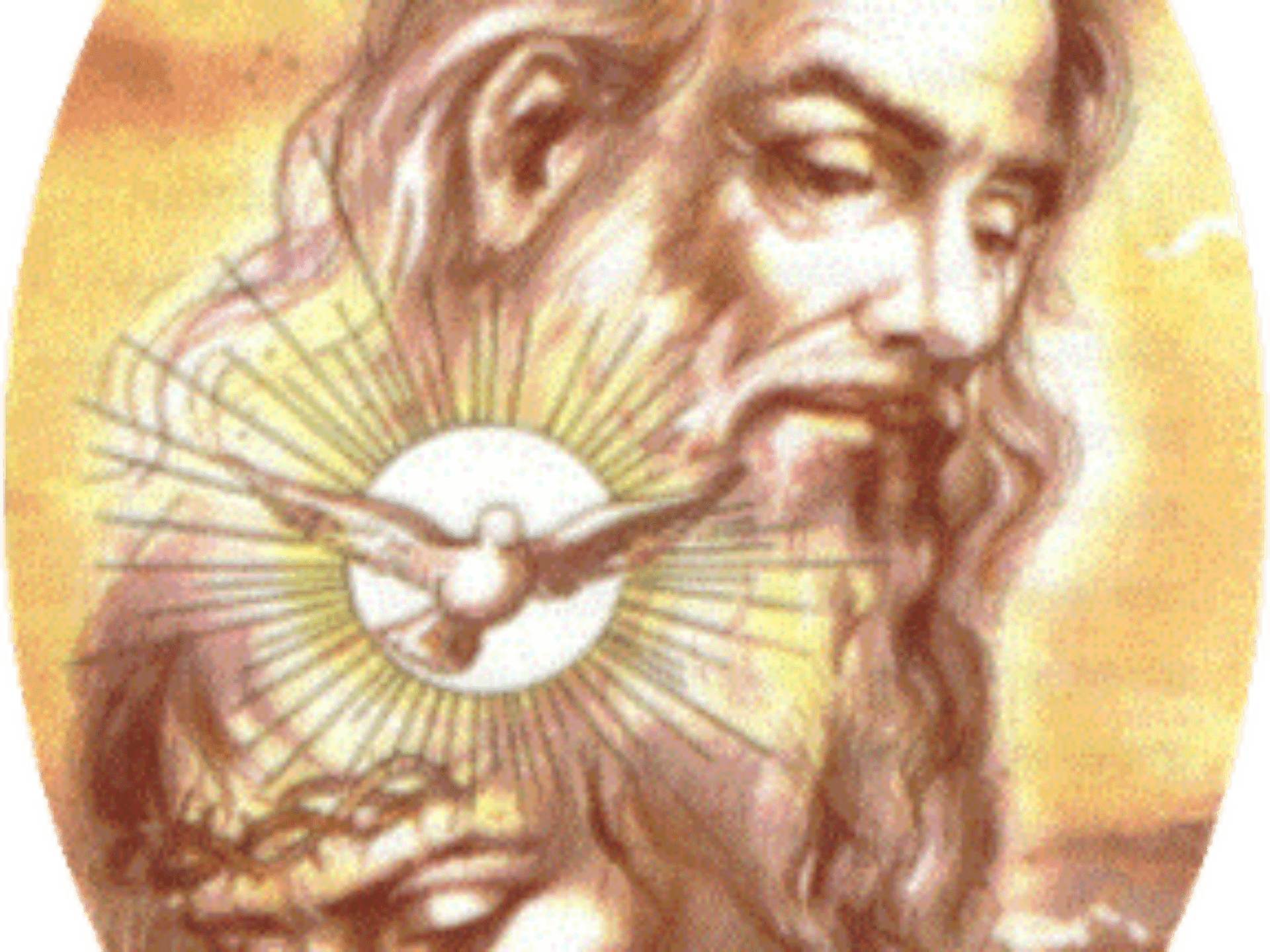 Actualités - Missionnaires de la Divine Volonté